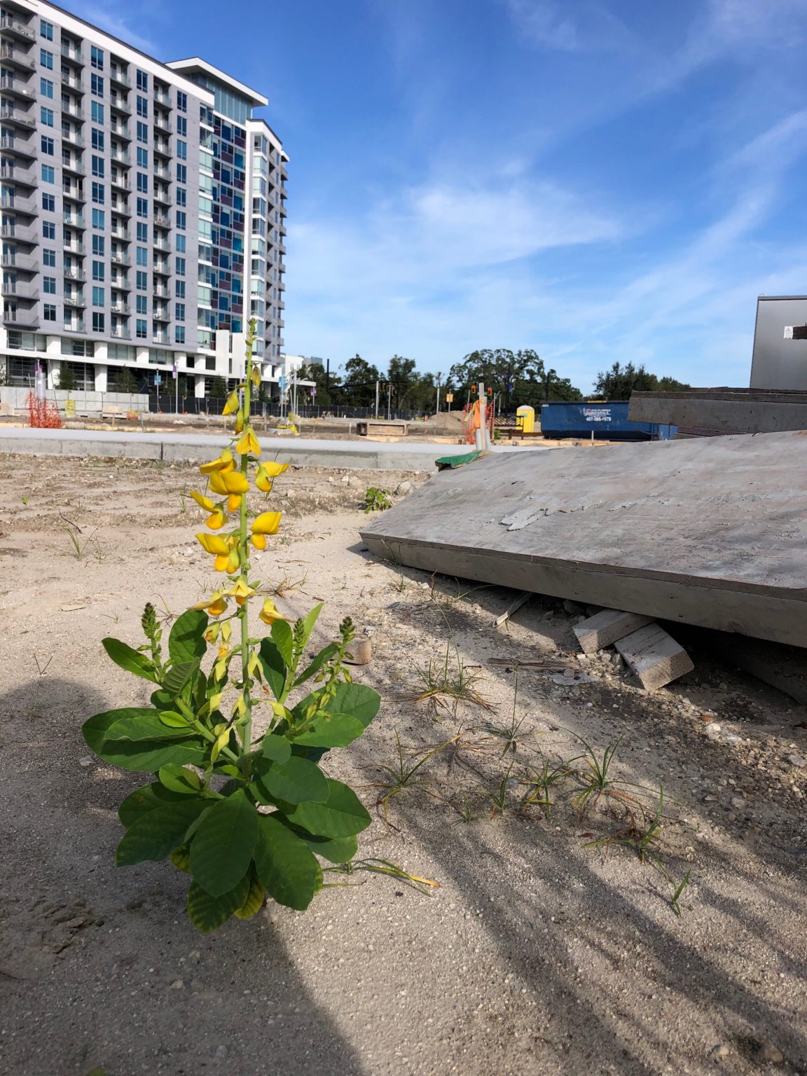 A Refresher - Florida CGP Requirements | Climate and Weather ...