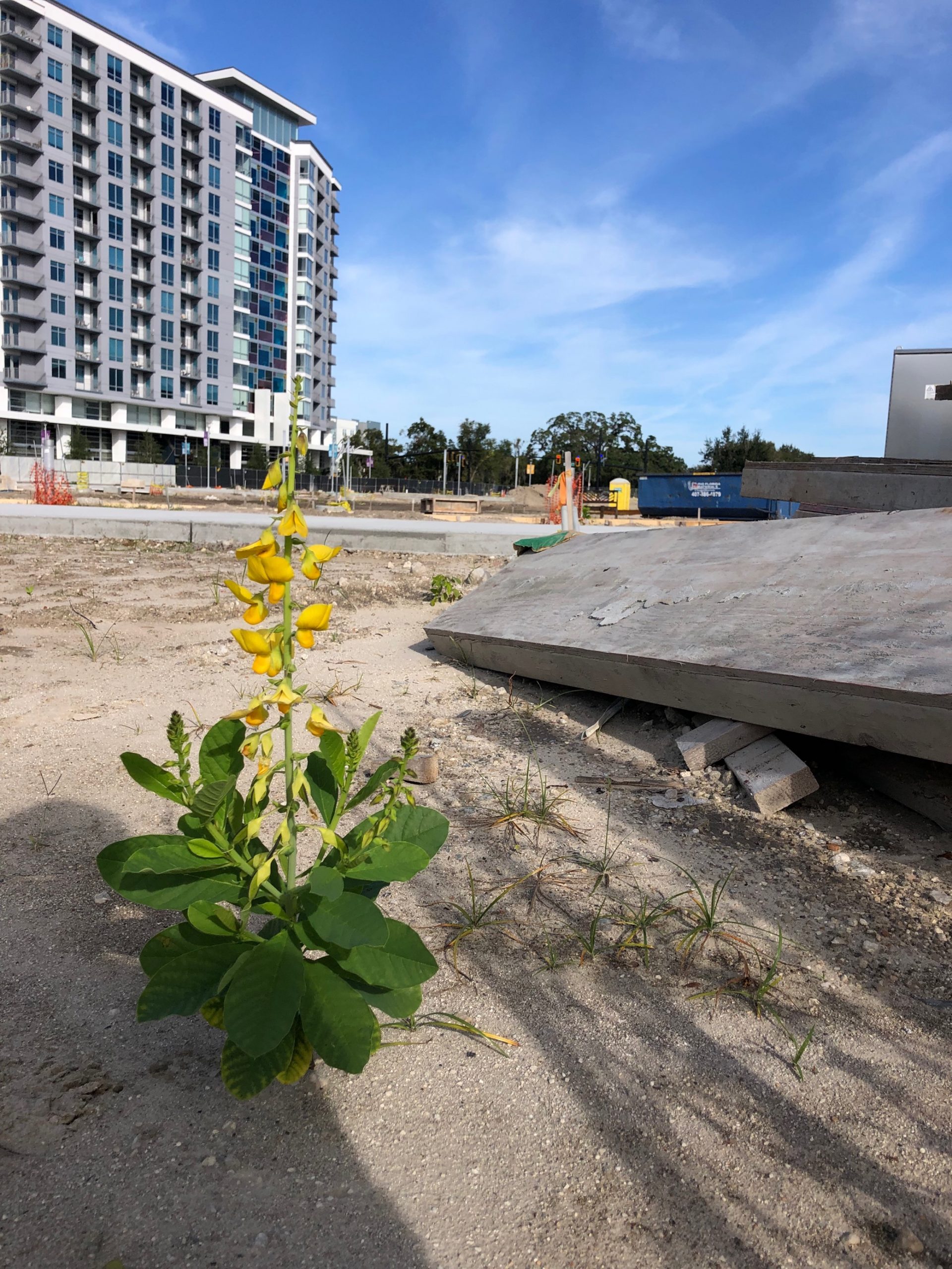 A Refresher - Florida CGP Requirements | Climate and Weather ...