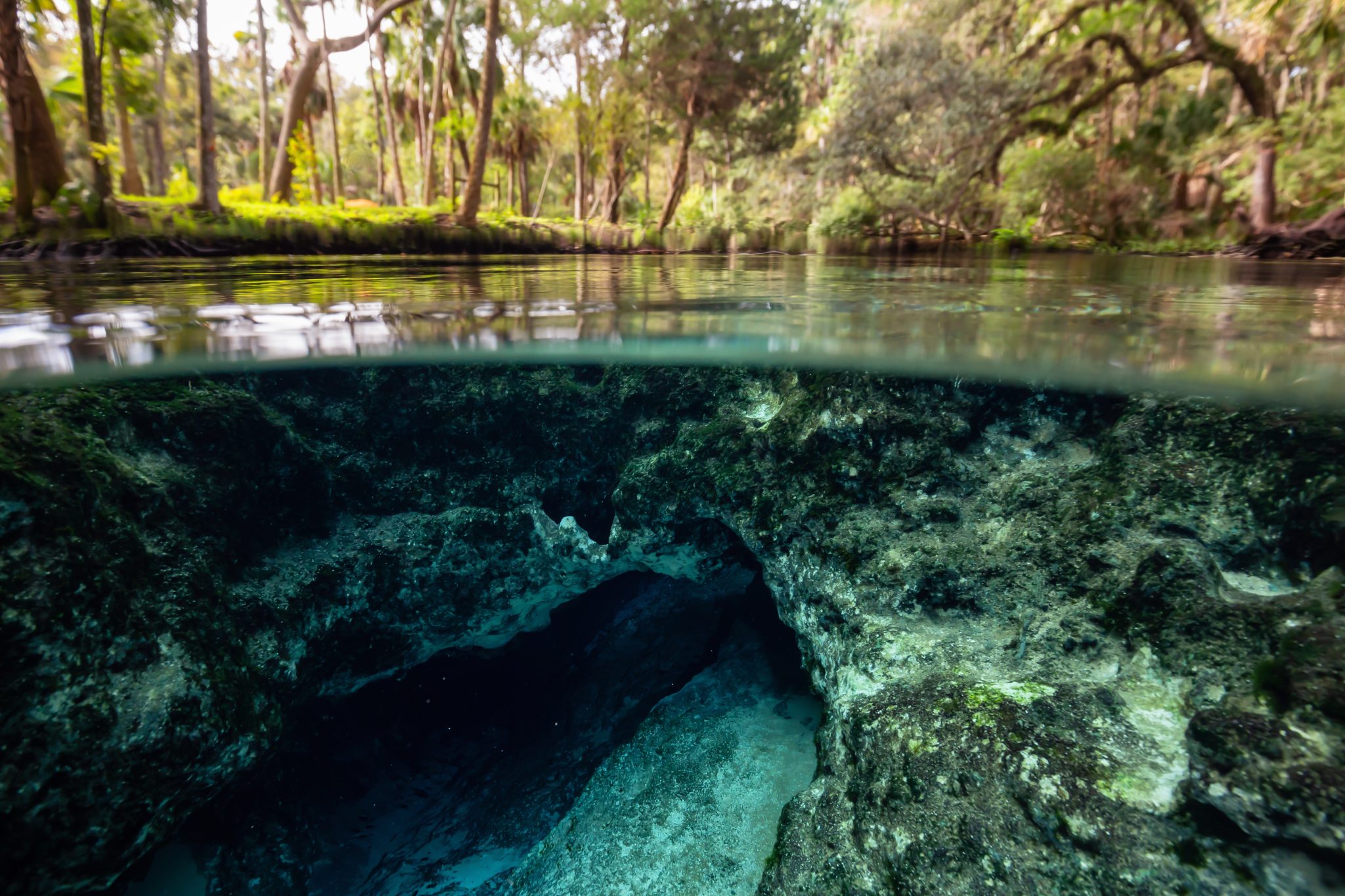 Florida Fresh Water | Climate and Weather, Construction, Environmental ...